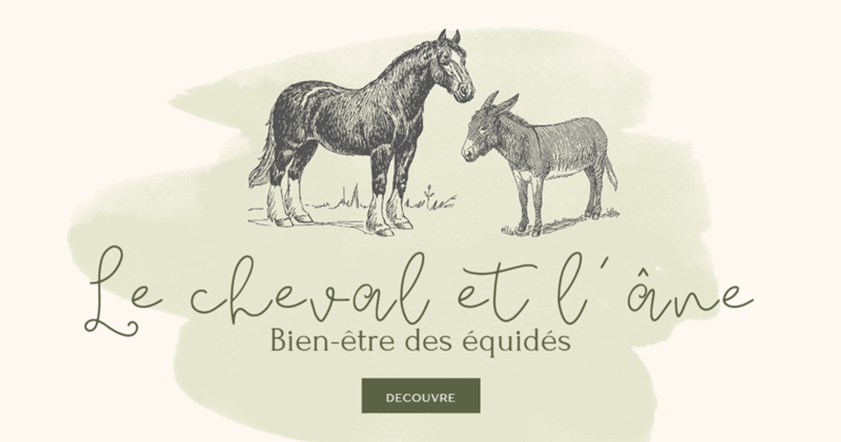 Le cheval et l’âne